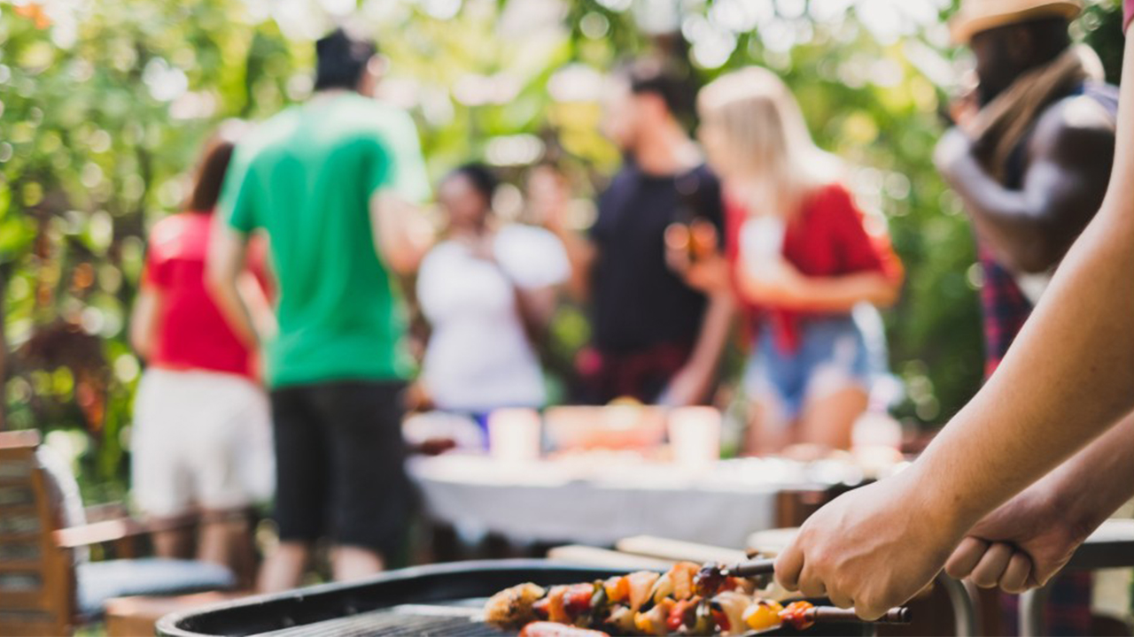 How to Keep Bugs Away From Your Backyard BBQ Activity - MosquitoNix San ...
