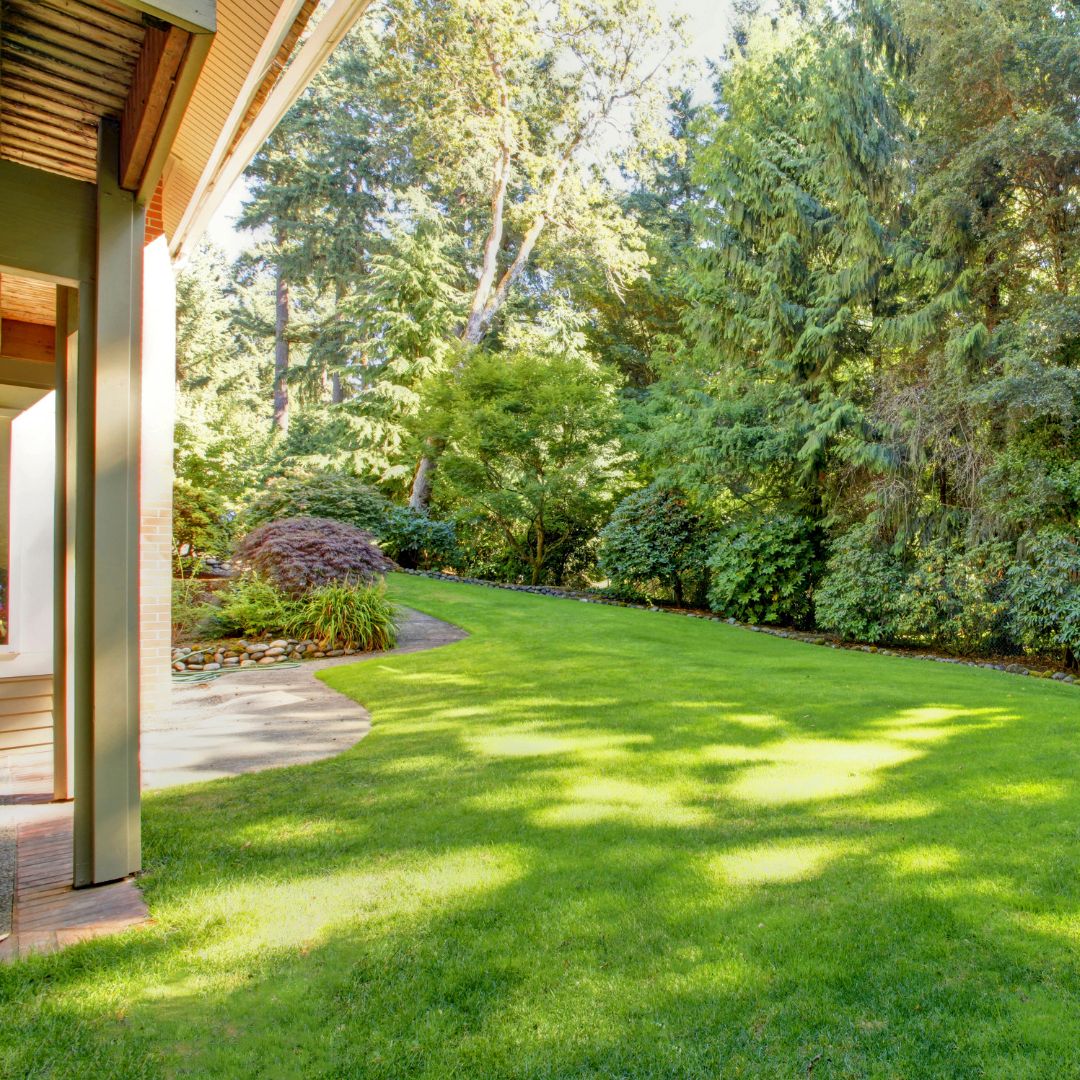 Master Your Yard: Mosquito Control with Mosquitonix - MosquitoNix San ...